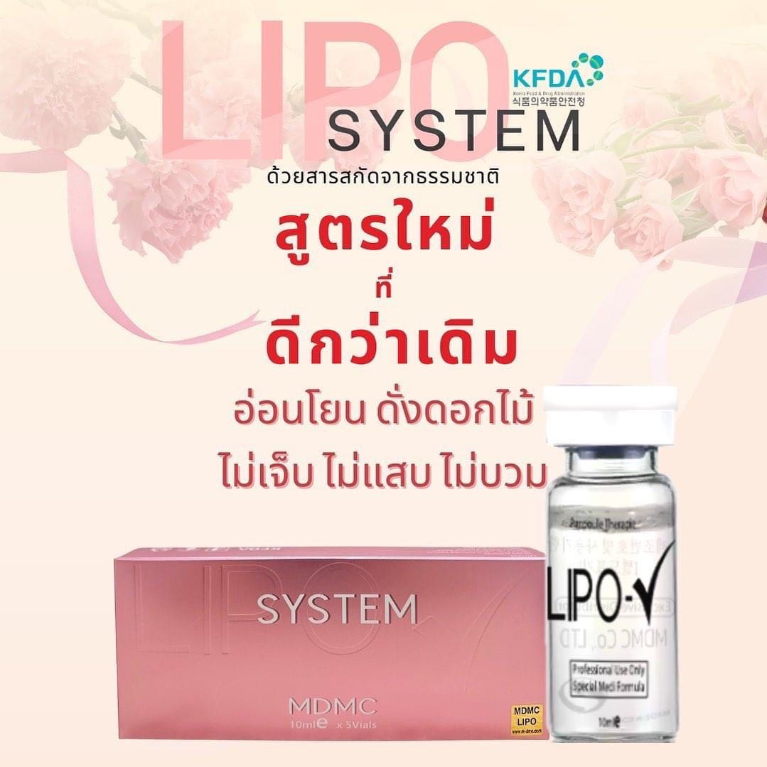 LIPO V SYSTEM 1 Box 5 Bottle – Quality item shop